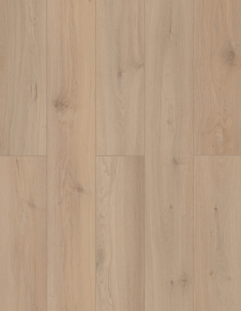 Shop Lions Floor Lone Star Spirit XL Sea Shell LI-TS207 SPC flooring ...