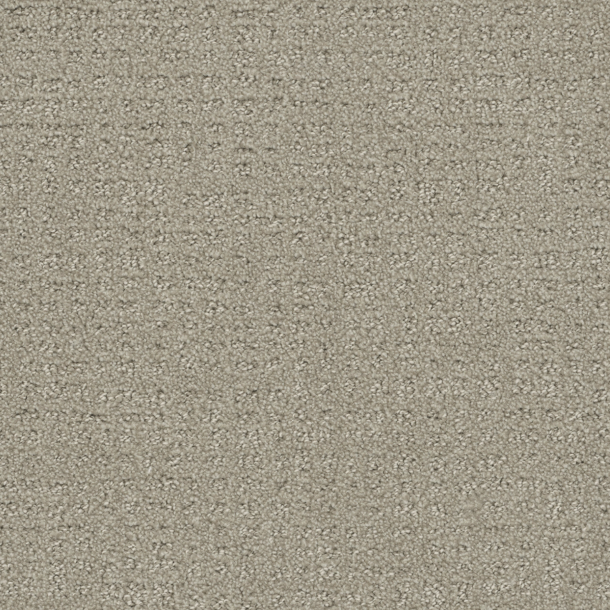 Carpet | Dream Weaver COMMON GROUND MOON MIST | Flooring Liquidators