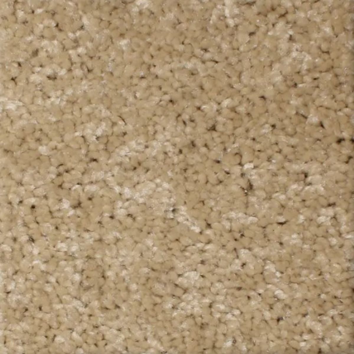 Carpet | PHENIX FIRST LIGHT PATHWAY | Flooring Liquidators
