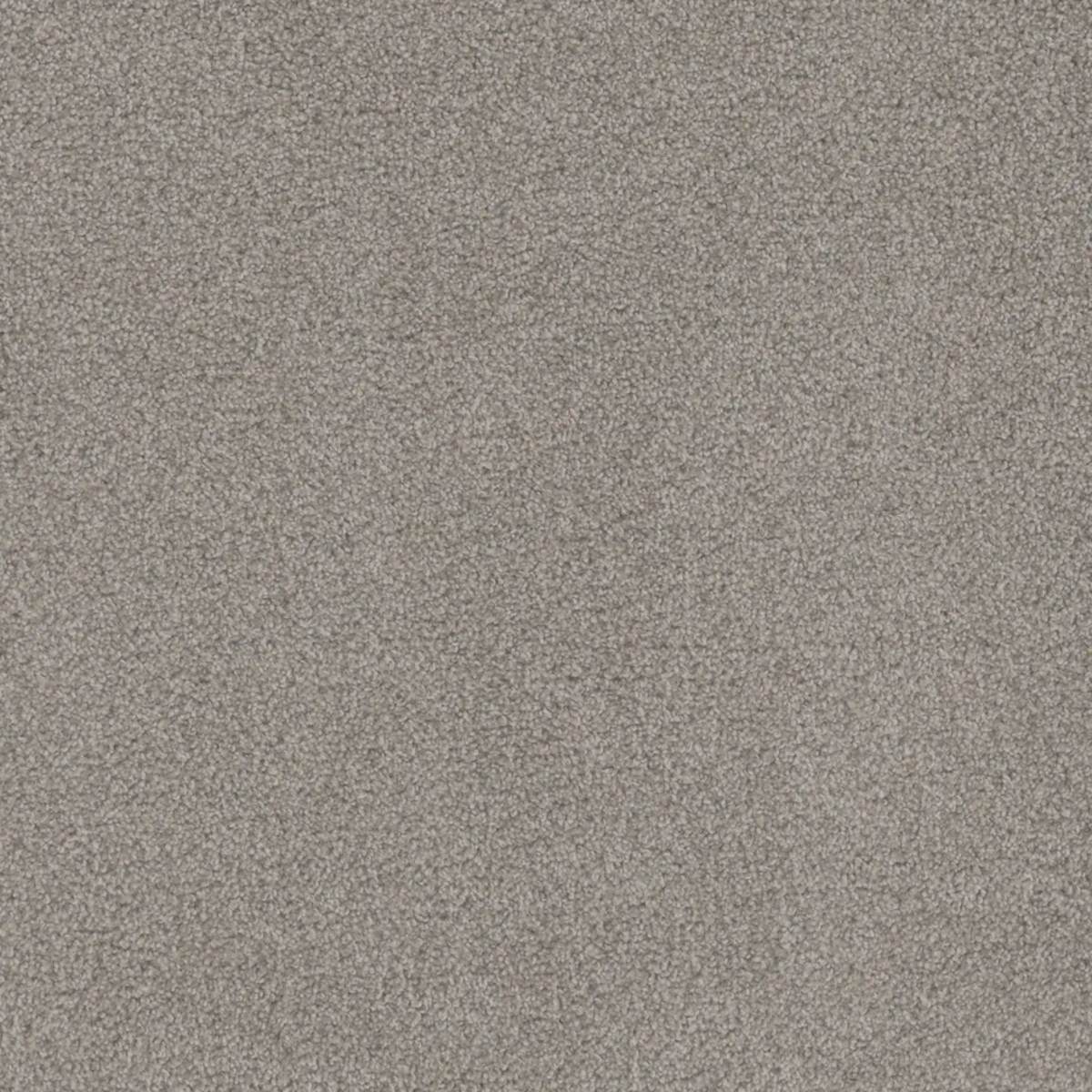 Carpet | DREAM WEAVER BEACH CLUB I GARDEN HEDGE | Flooring Liquidators