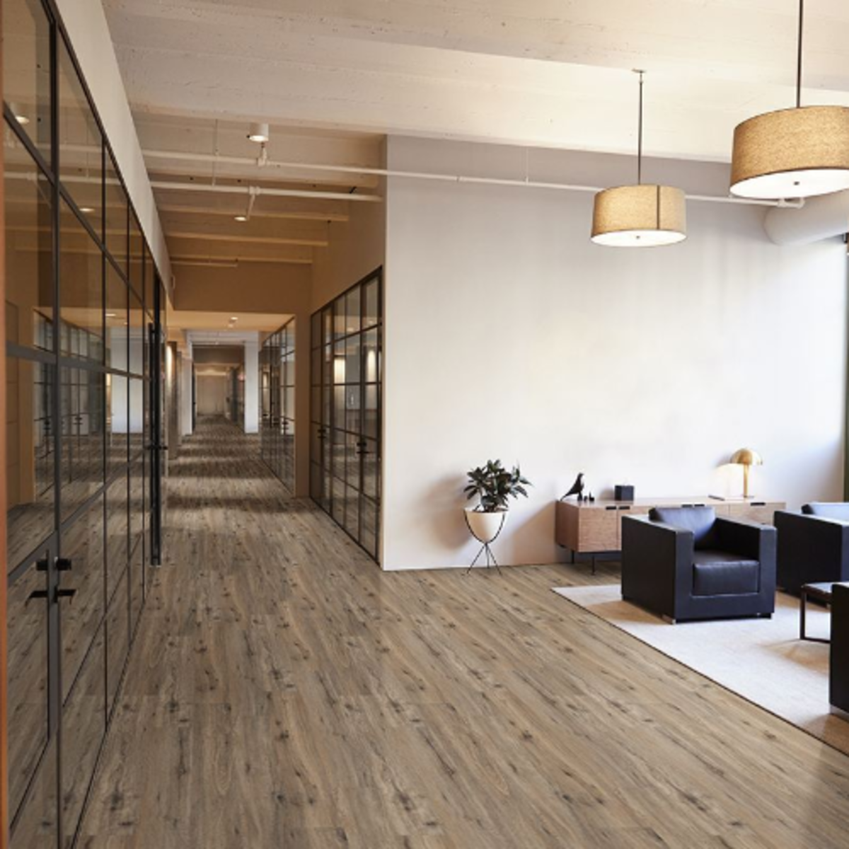 Luxury Vinyl | MSI CYRUS FAUNA | Flooring Liquidators