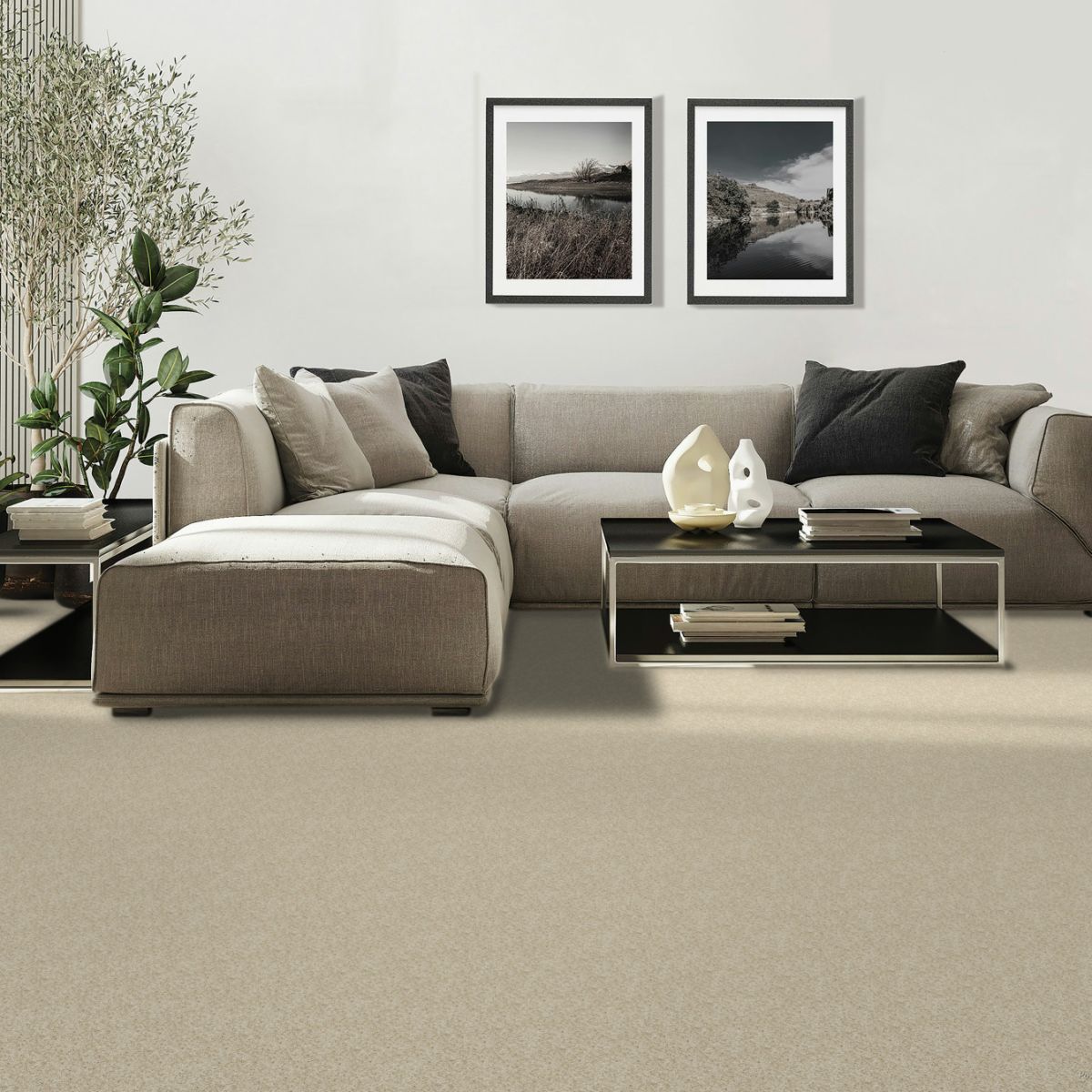 Carpet | MOHAWK CLAWS AND EFFECT FROSTED ALMOND | Flooring Liquidators