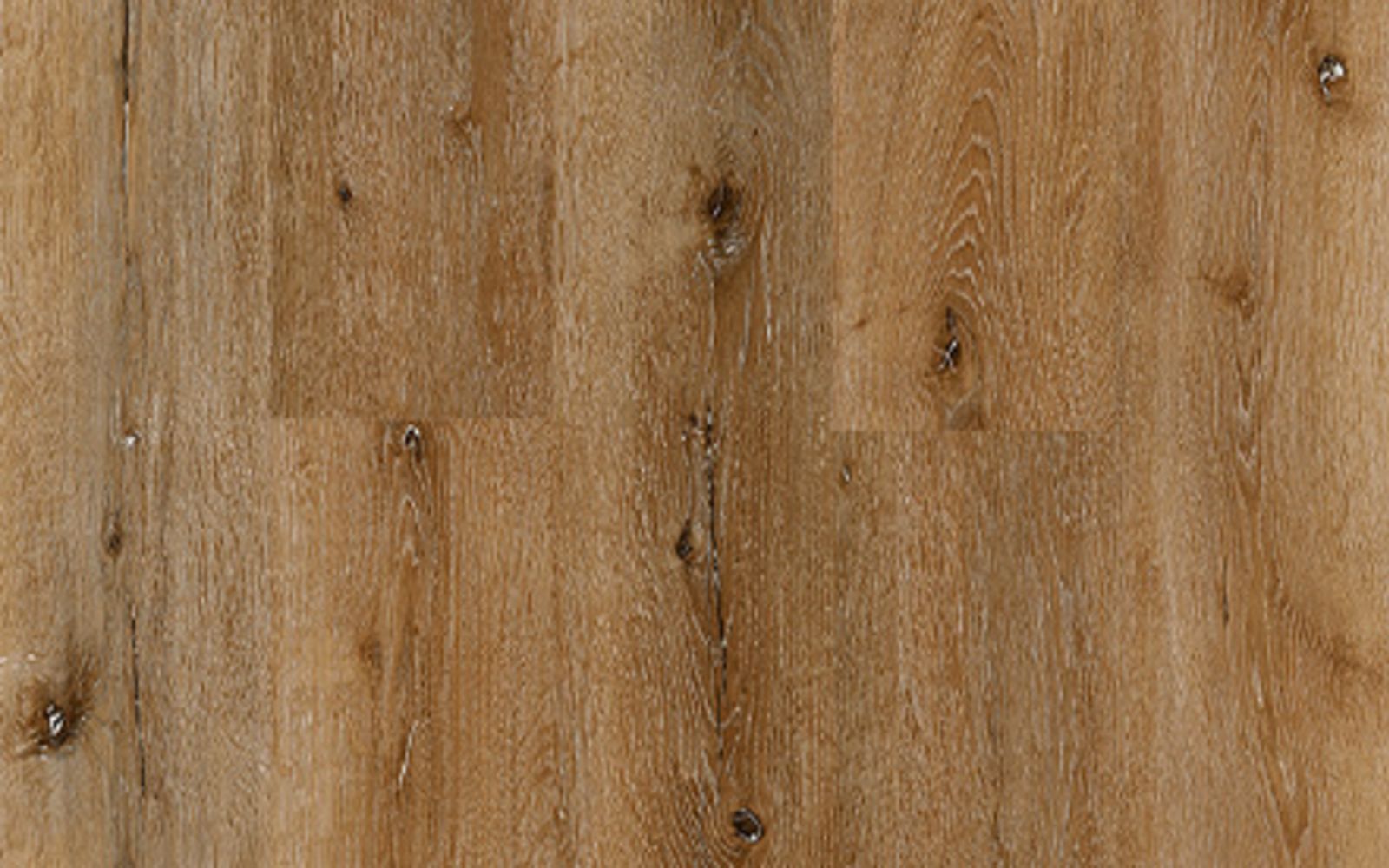 Shop Lions Floor Natural Essence Plus Sequoia LI-NE201 SPC flooring ...