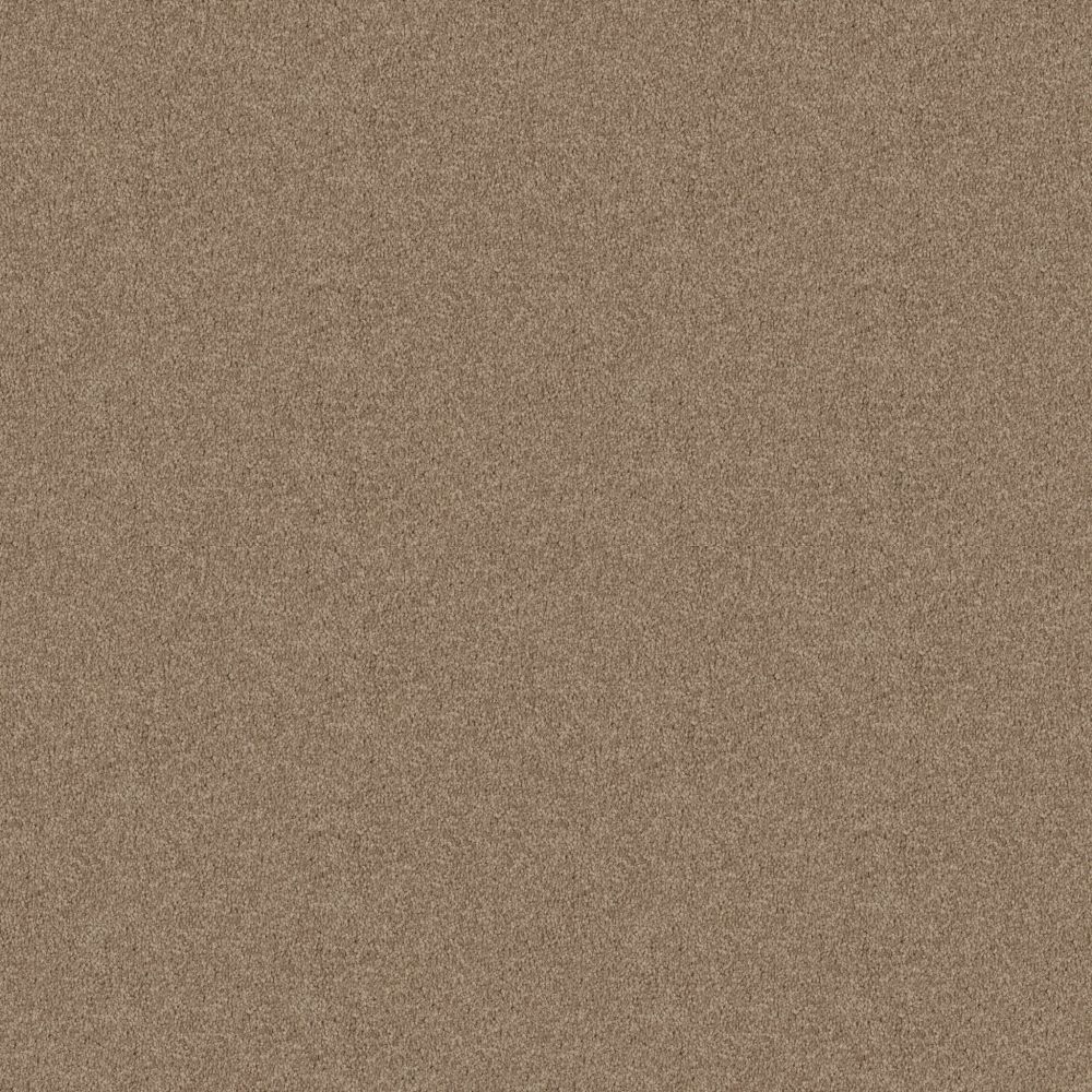 Shop Shaw Floors Newbern Classic 15' Plaster 55752_E0950 Carpet ...