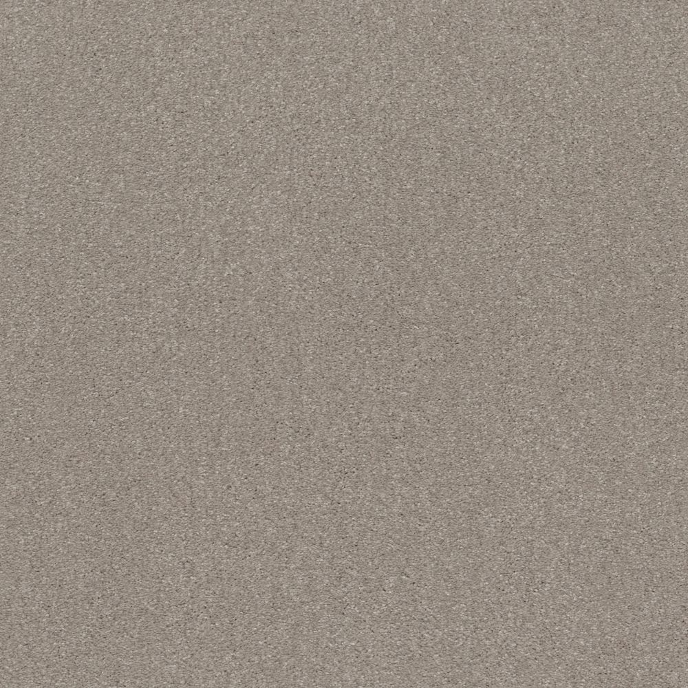 Shop Shaw Floors Solidify III 15' Greige 00106_5E267 Carpet | Derailed ...