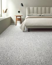 Shaw Builder Flooring Multifamily Eclipse COMMANDING TWEED Thin Ice ...