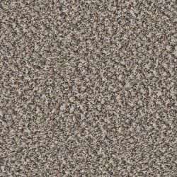 Shop Carpet - Flooring Liquidators