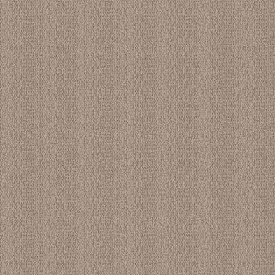 Caress By Shaw Floors Loop De Loop Pebble Path 5E45200109 Carpet ...