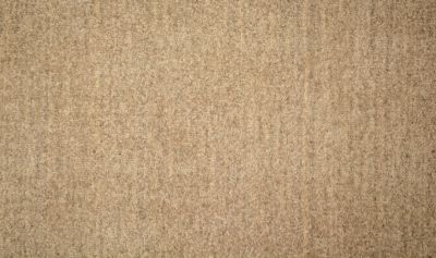 Shop Cavan RAVE BEACH RAVE-BEACH-13-9-AB Carpet | IQ Floors