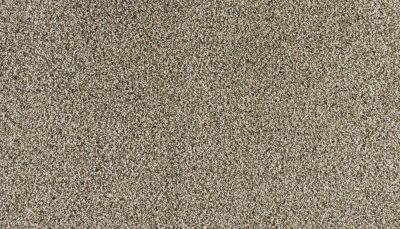 Shop Karastan Smartstrand Silk Hensley Cedar Shingles 43811-9770 Carpet ...