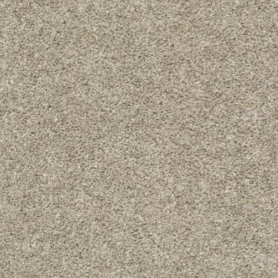 Shop Shaw Builder Flooring Multifamily Eclipse ENDURING TONAL Stucco 00112_PZ003 Carpet ...