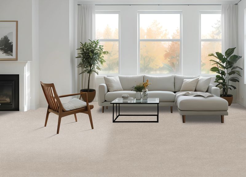 Shop Mohawk Everstrand Classic Fit I Twilight 3N12-829 Carpet | Howmar ...